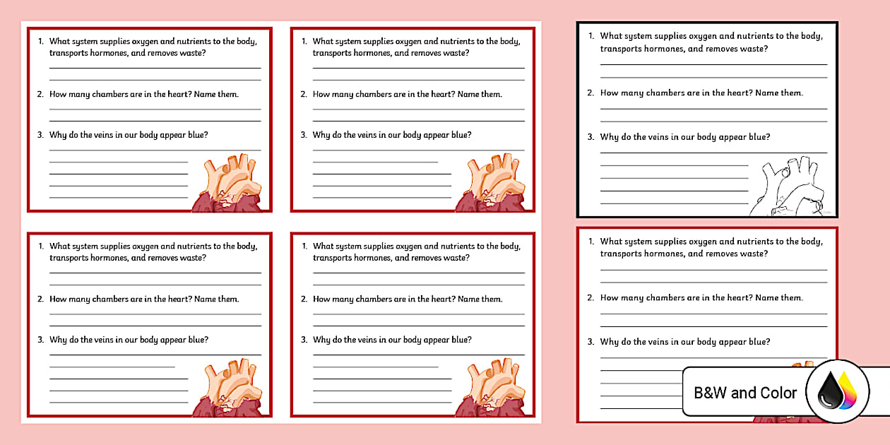 Seventh Grade Circulatory System Exit Ticket (teacher made)