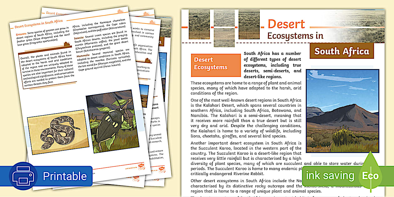 Desert Ecosystems in South Africa (teacher made) - Twinkl