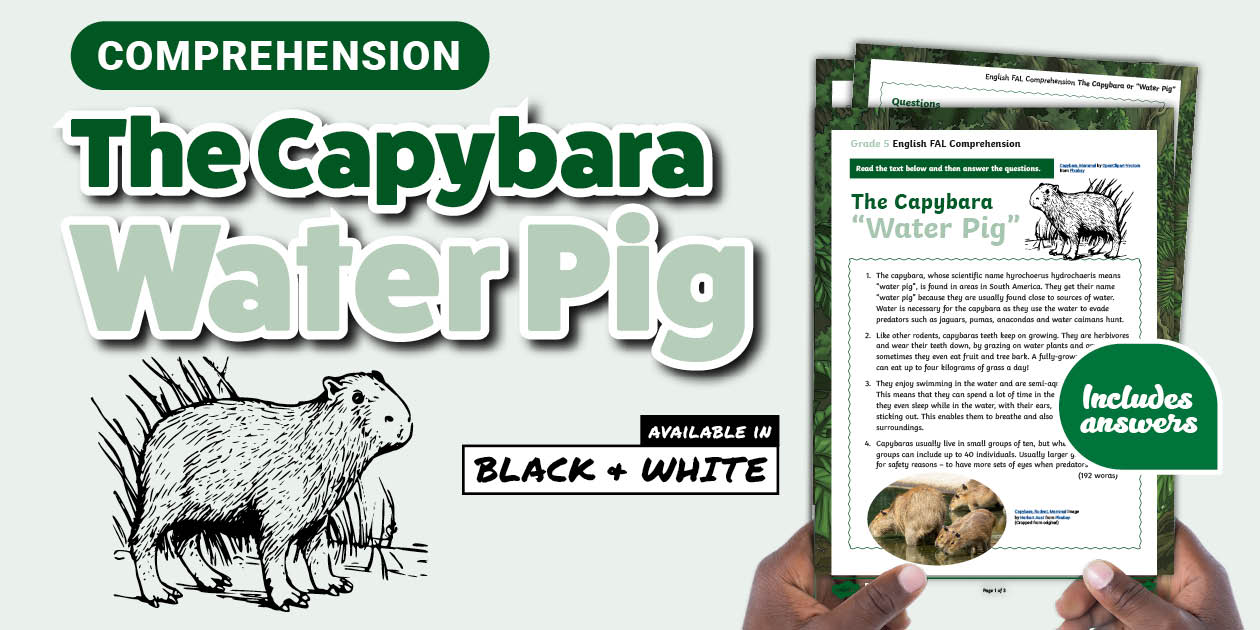 Grade 5 English FAL Comprehension Capybara Water Pig CAPS