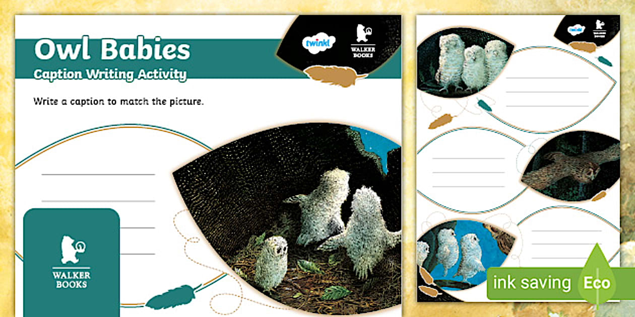 FREE! - Owl Babies Caption Writing Activity - Twinkl