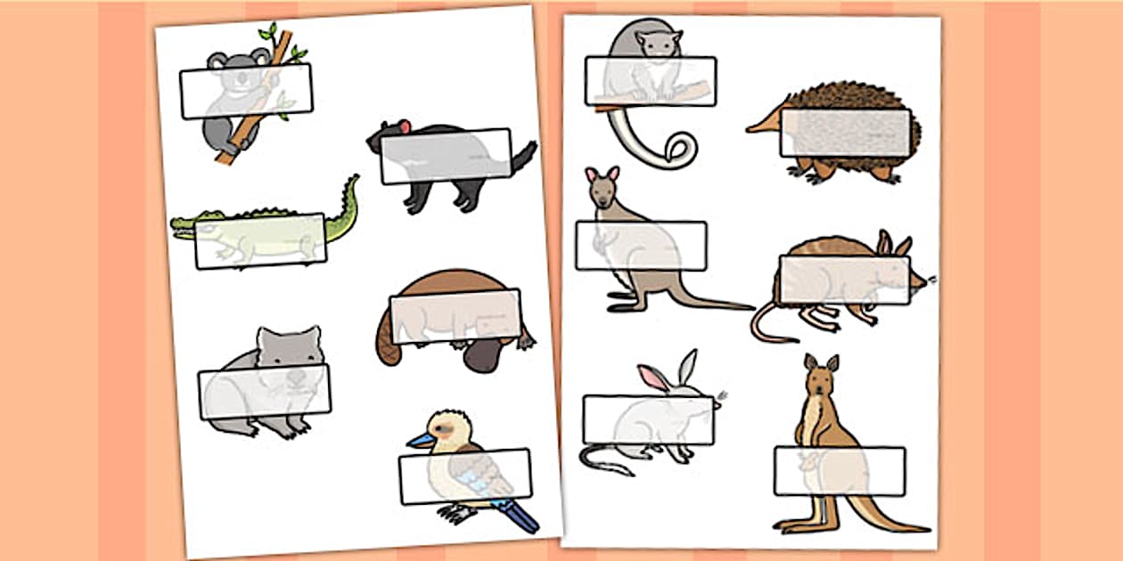 Australian Animals Self-Registration (teacher made) - Twinkl