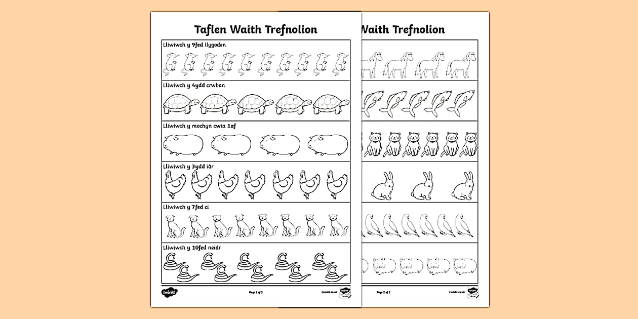 Taflen Waith Rhifedd Trefnolion - Adnoddau Cynradd - Twinkl