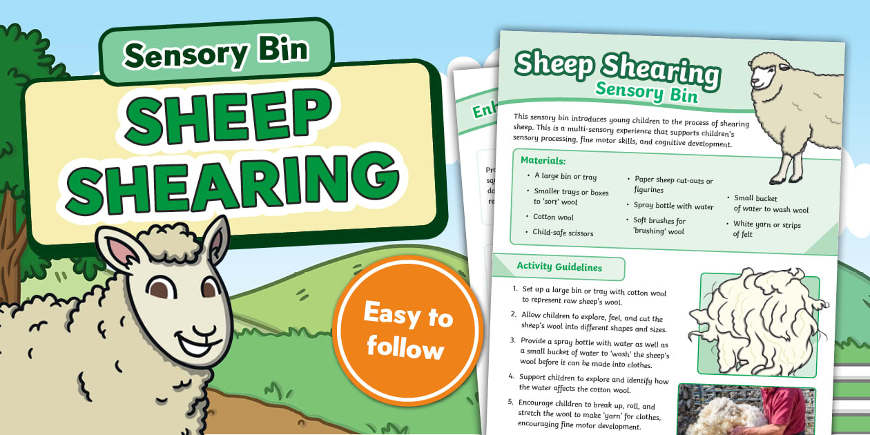Sheep Shearing Sensory Activity (teacher made) - Twinkl
