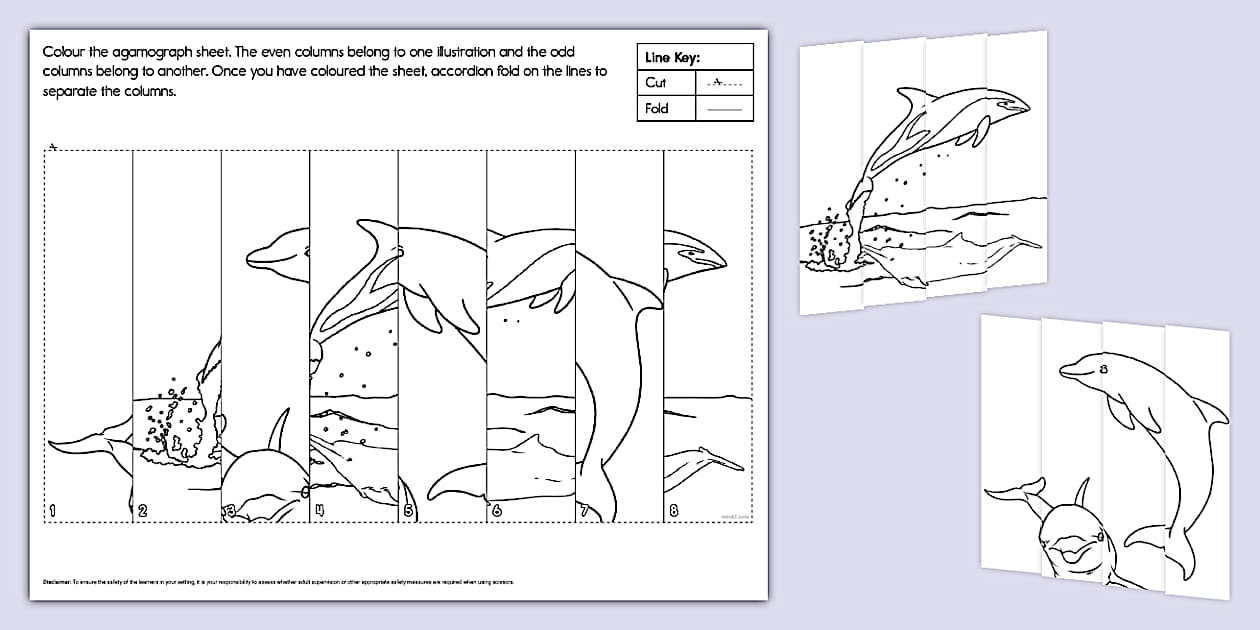 Dolphin Agamograph (teacher made) - Twinkl