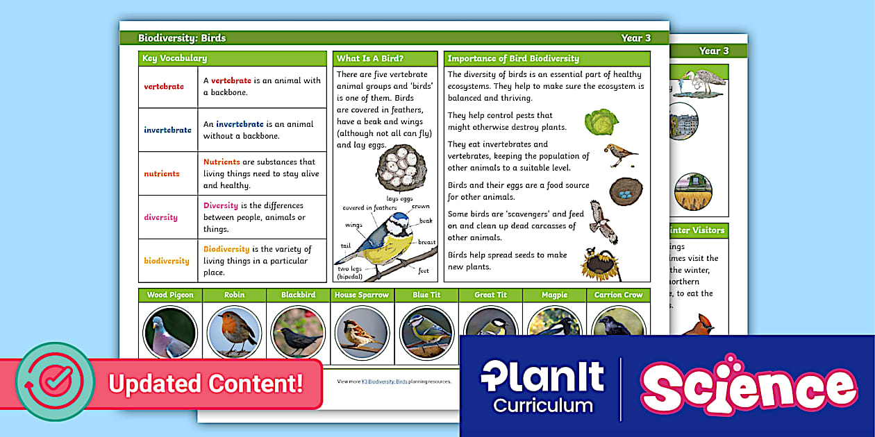 Science: Biodiversity: Birds: Year 3 Knowledge Organiser
