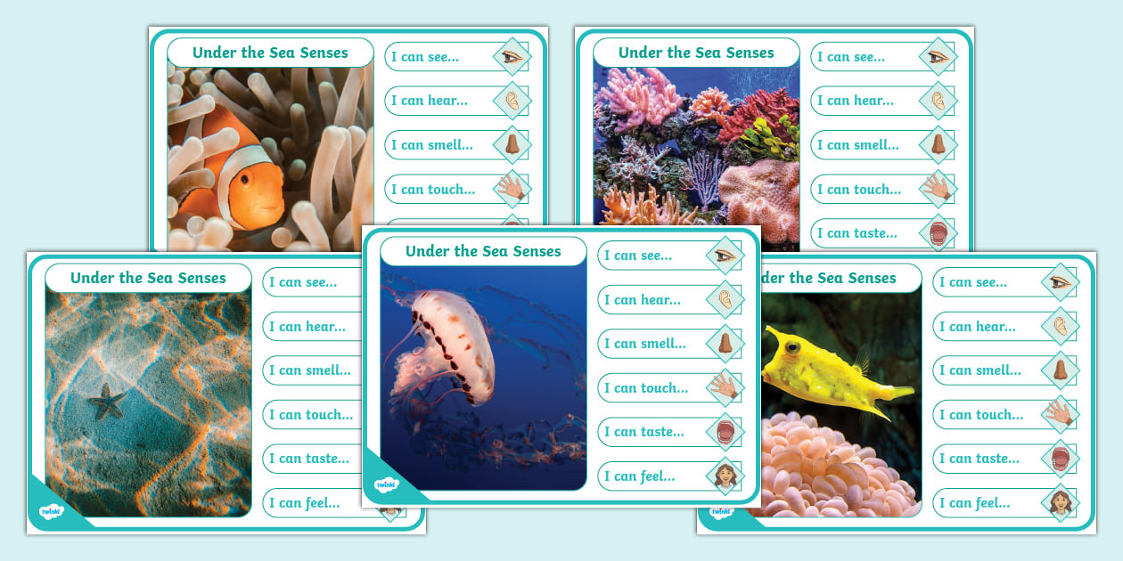 Under the Sea Senses Photo Display Posters