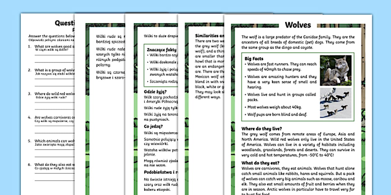 Wolves Differentiated Reading Comprehension Activity Polish/English