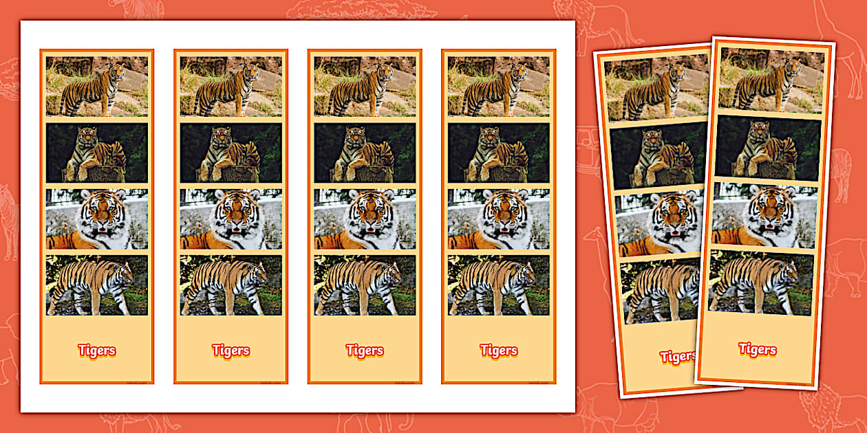 Tiger Photo Strip Bookmarks (Teacher-Made) - Twinkl
