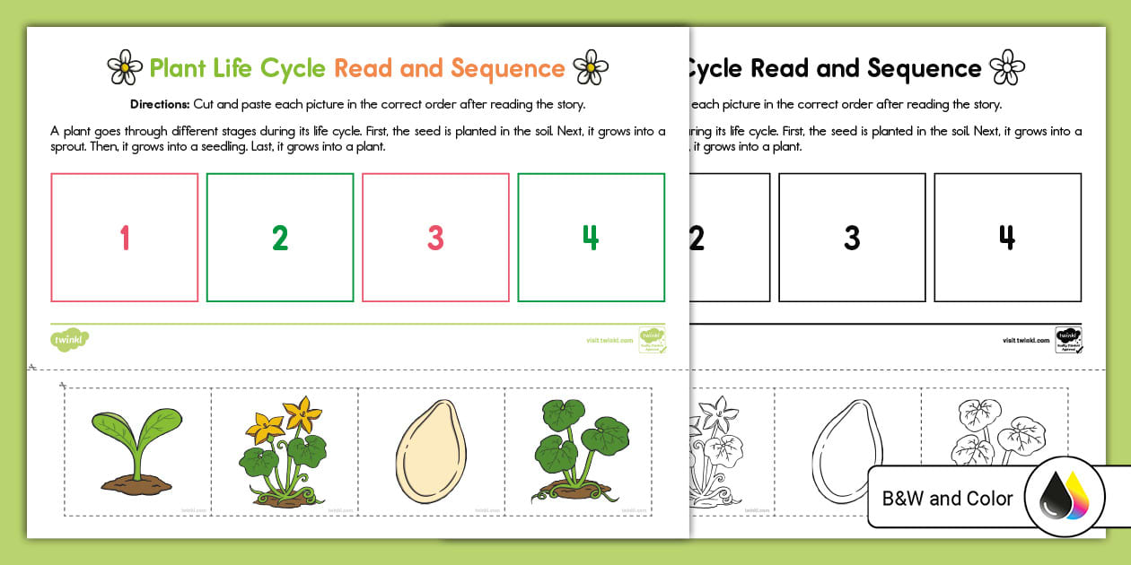 Plant Life Cycle Read and Sequence Cut and Paste Worksheet