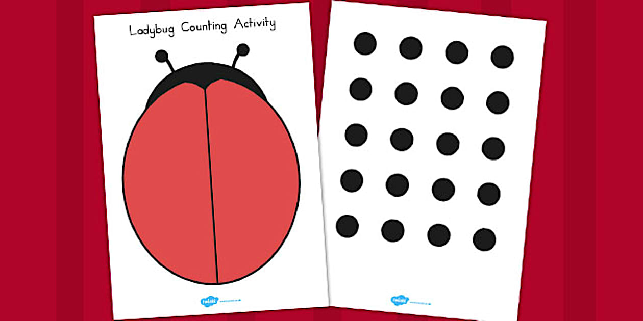 Ladybug Counting | Math Resource | Twinkl USA (teacher made)