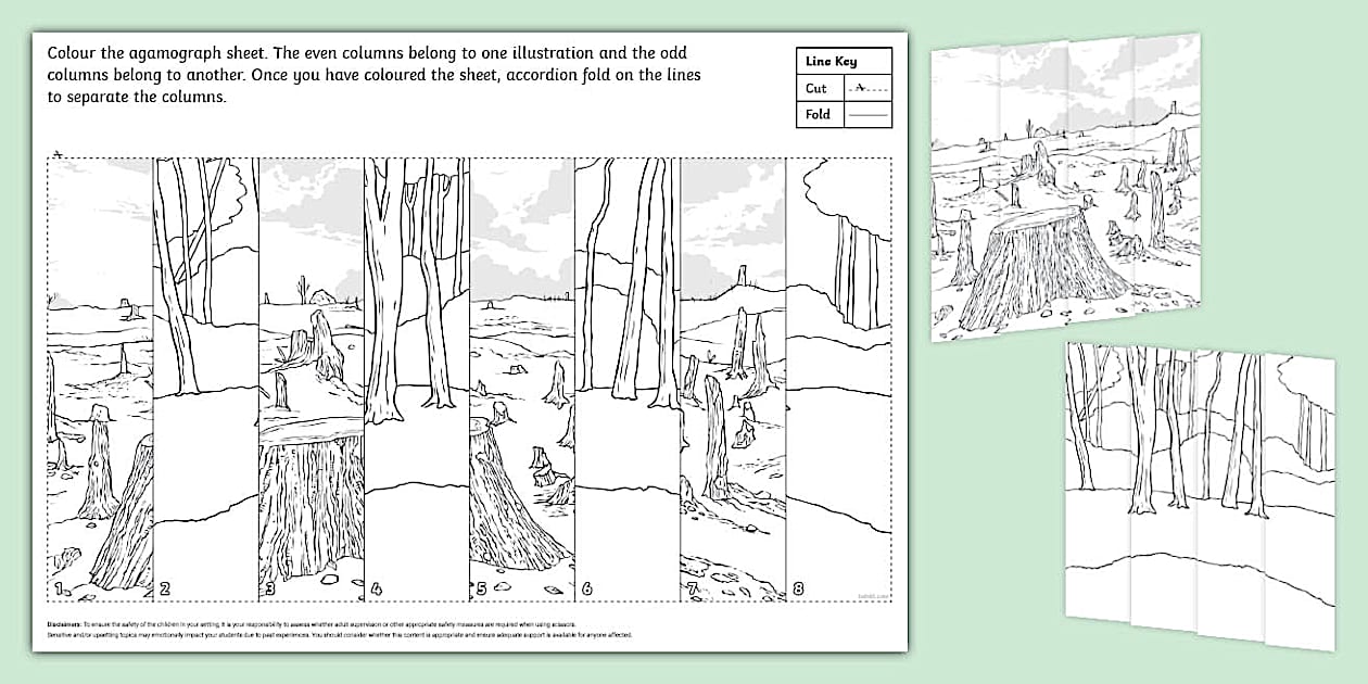 Deforestation Agamograph (teacher made) - Twinkl