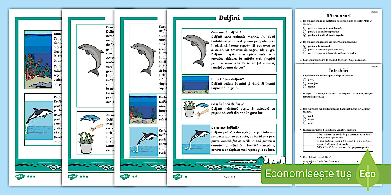 Delfini – Fișe de lectură diferențiate - Twinkl