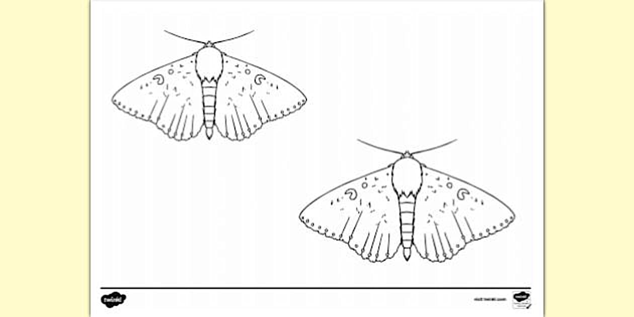 Moth Colouring Page | Colouring Sheets (teacher made)
