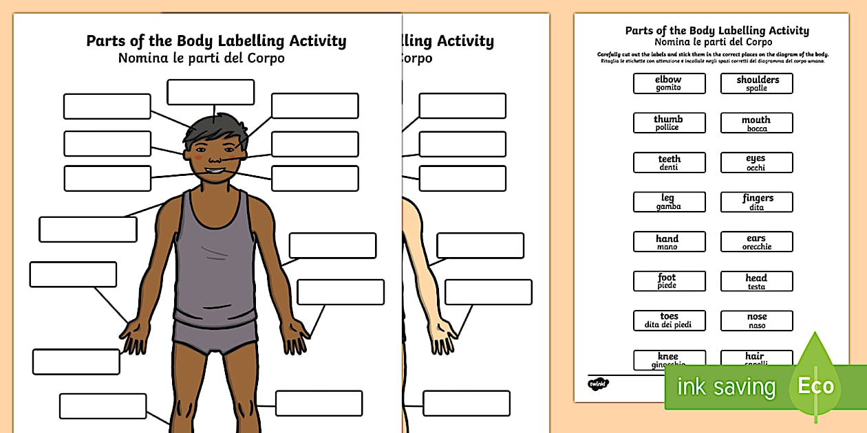 Body Parts In Italian Labelling Activity | Twinkl - Twinkl