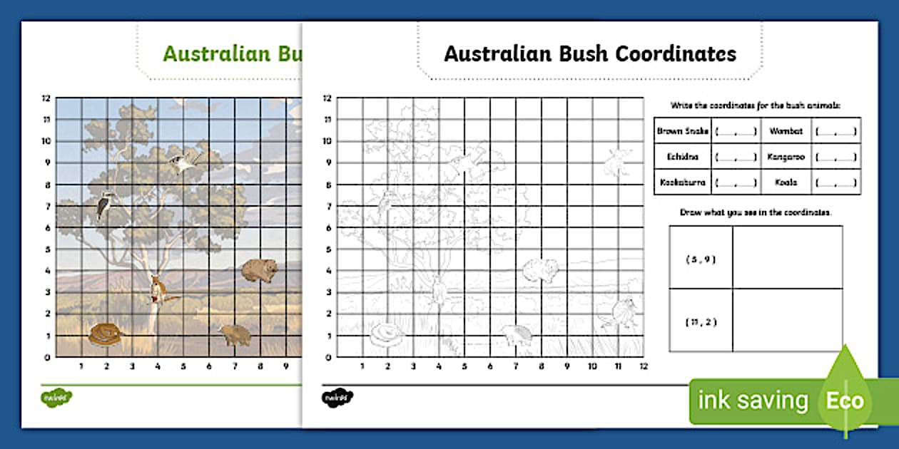 Australian Bush Coordinates (Teacher-Made) - Twinkl