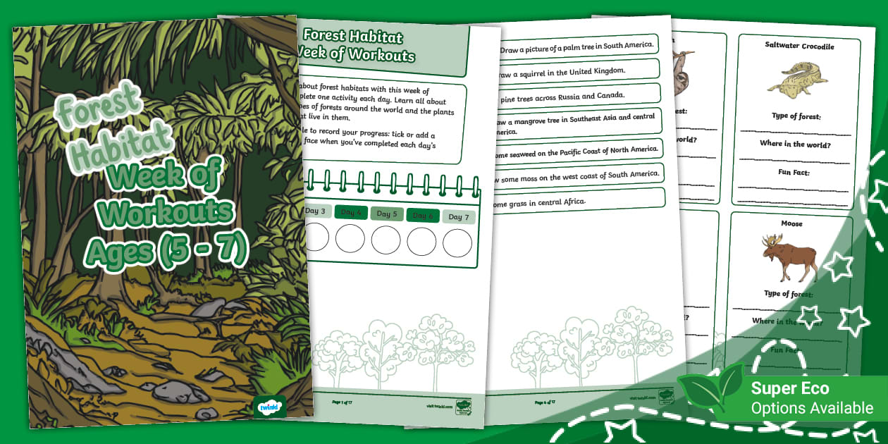 Forest Habitat Week of Workouts (Ages 5 - 7) (teacher made)