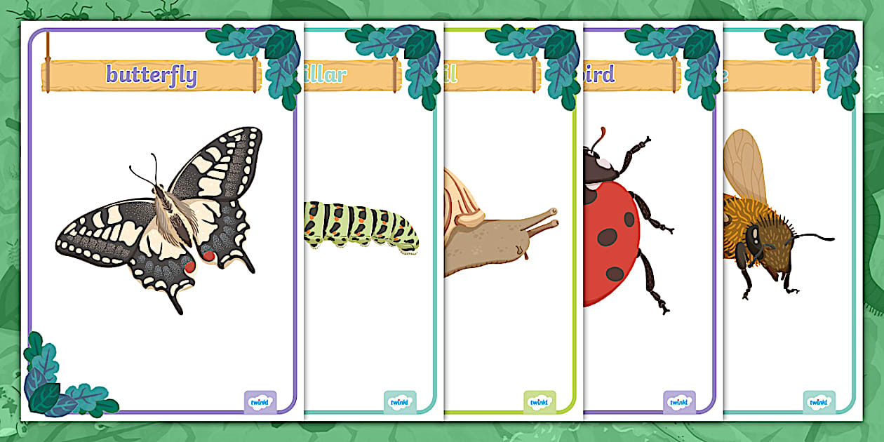 Realistic Minibeasts Display Posters (teacher made) - Twinkl
