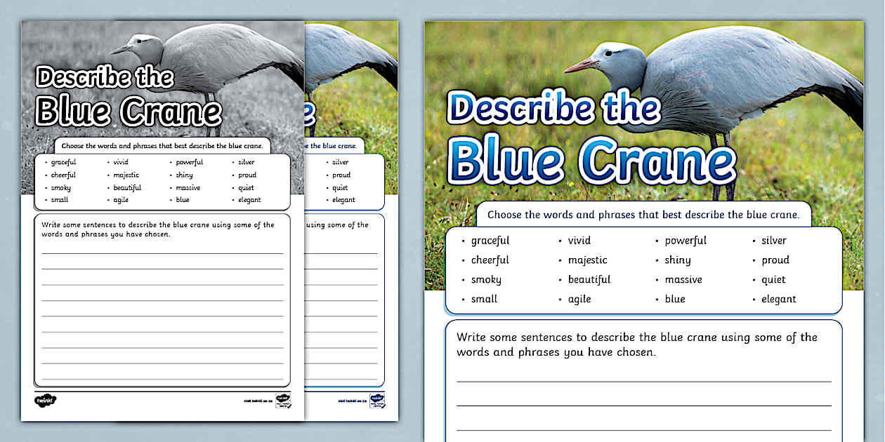 Describe the Blue Crane Worksheet (Teacher-Made) - Twinkl