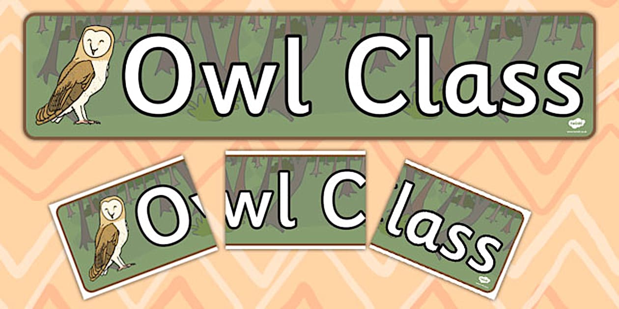 👉 Owl Themed Classroom Display Banner - Twinkl