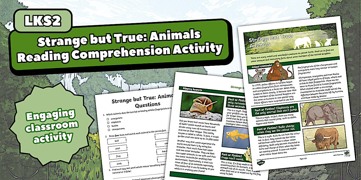LKS2 Strange but True: Animals Reading Comprehension