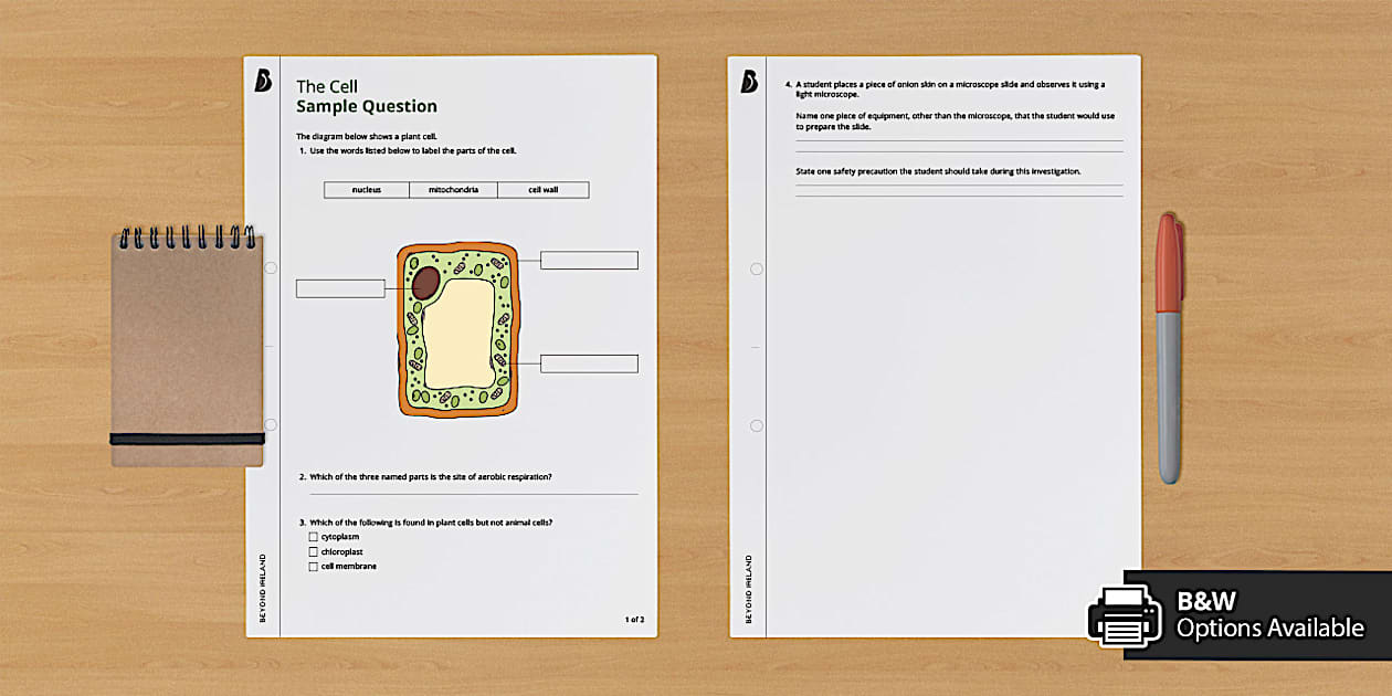 The Cell Sample Question Activity Sheet