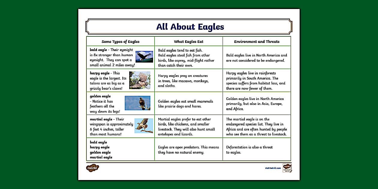 All About Eagles Chart for 3rd-5th Grade (teacher made)