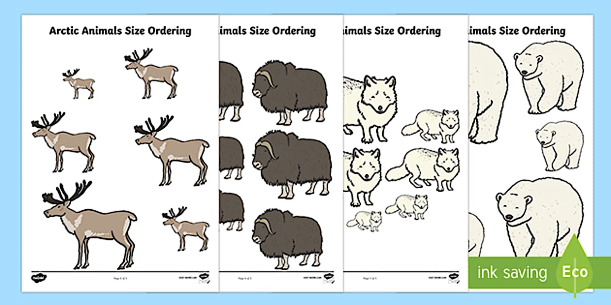 Black and White Arctic Animals Size Ordering (teacher made)