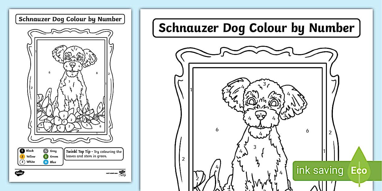 Schnauzer Dog Colour-by-Number Worksheet | Twinkl | KS1