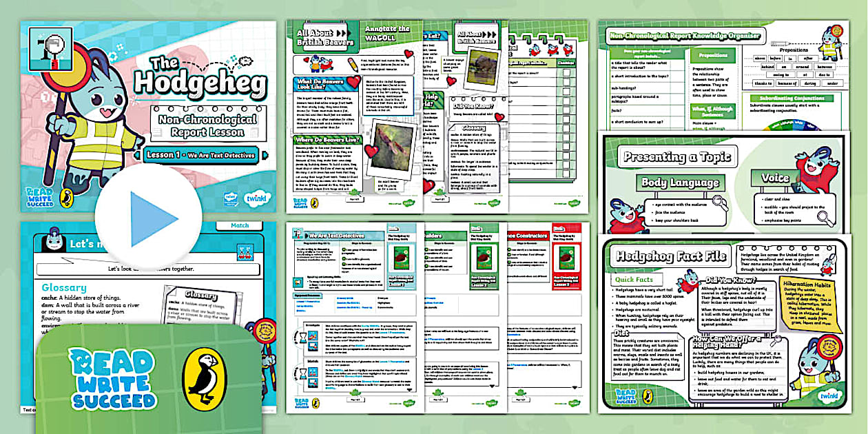 LKS2 The Hodgeheg Non-Chronological Report Unit Pack
