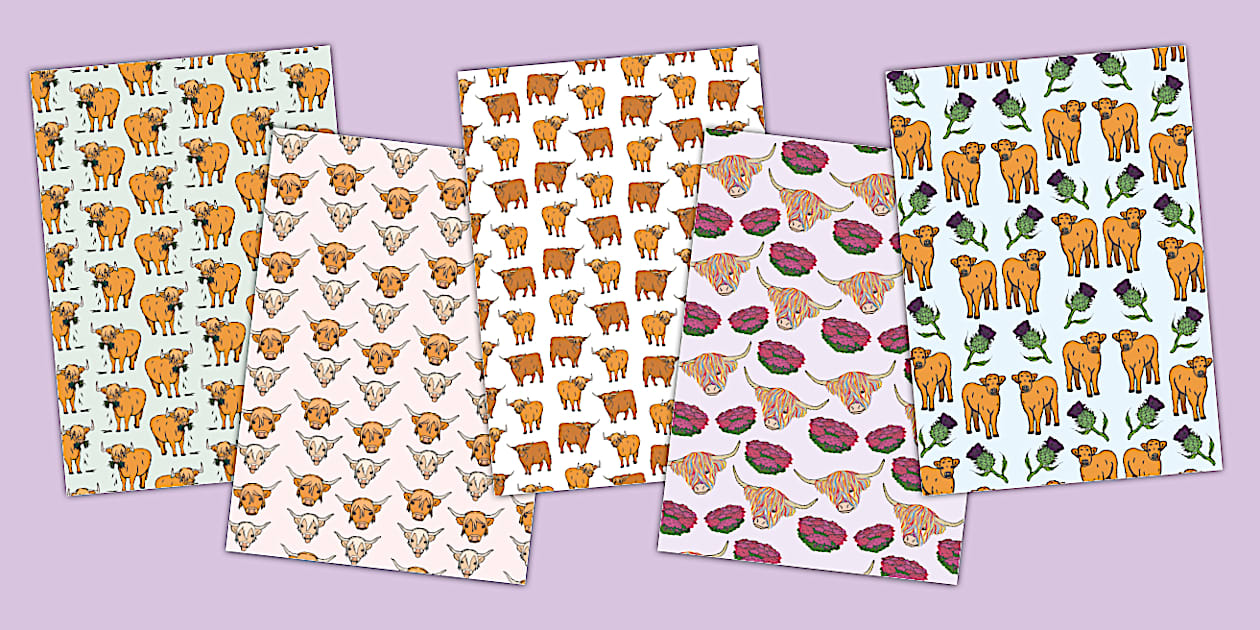 Highland Cow Patterned Paper Pack (teacher made) - Twinkl