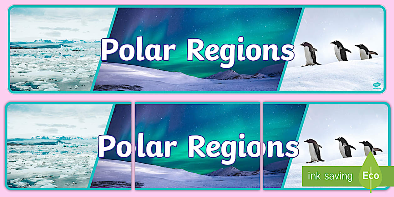 Polar Regions Photo Display Banner (Teacher-Made) - Twinkl