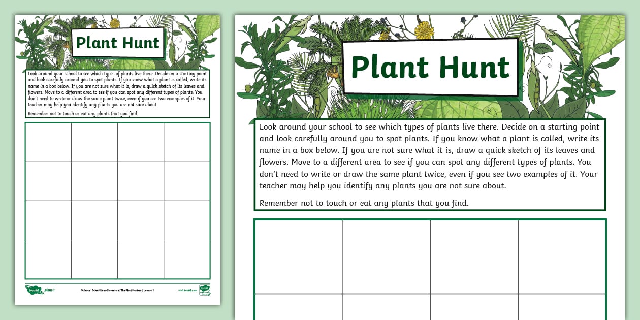 Plant Hunt Worksheet / Worksheet - Twinkl