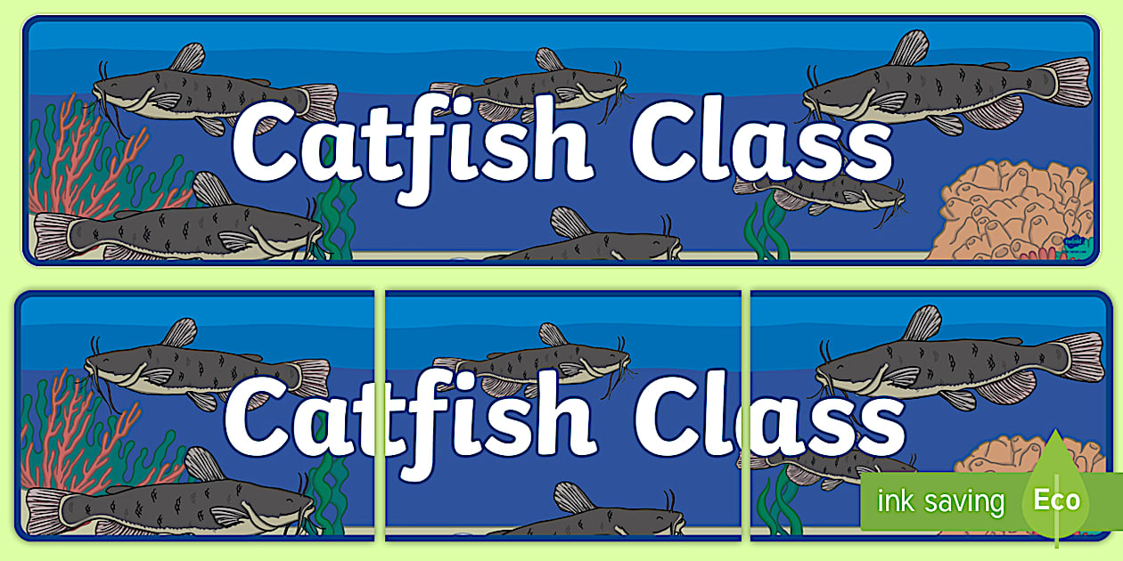 Catfish Class Display Banner (Hecho por educadores) - Twinkl