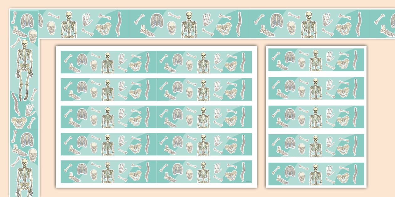 Skeletons Display Borders (teacher made) - Twinkl