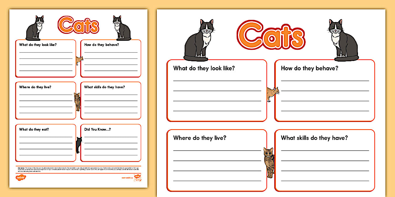 Cats Fact File Template (Hecho por educadores) - Twinkl
