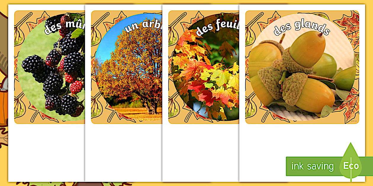 Photos à découper sur l'automne (teacher made) - Twinkl