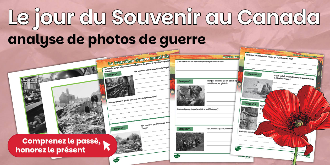 Remembrance Day Worksheet War Photo Analysis Activity French
