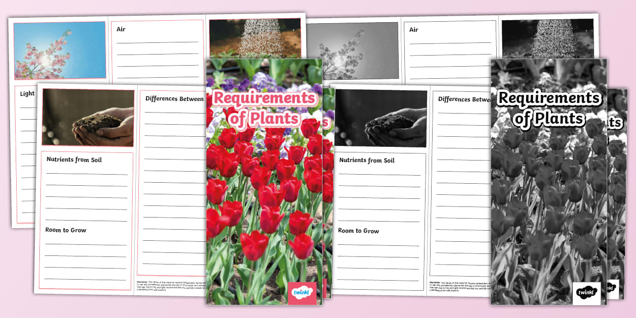 KS2 Requirements of Plants Leaflet Template (teacher made)