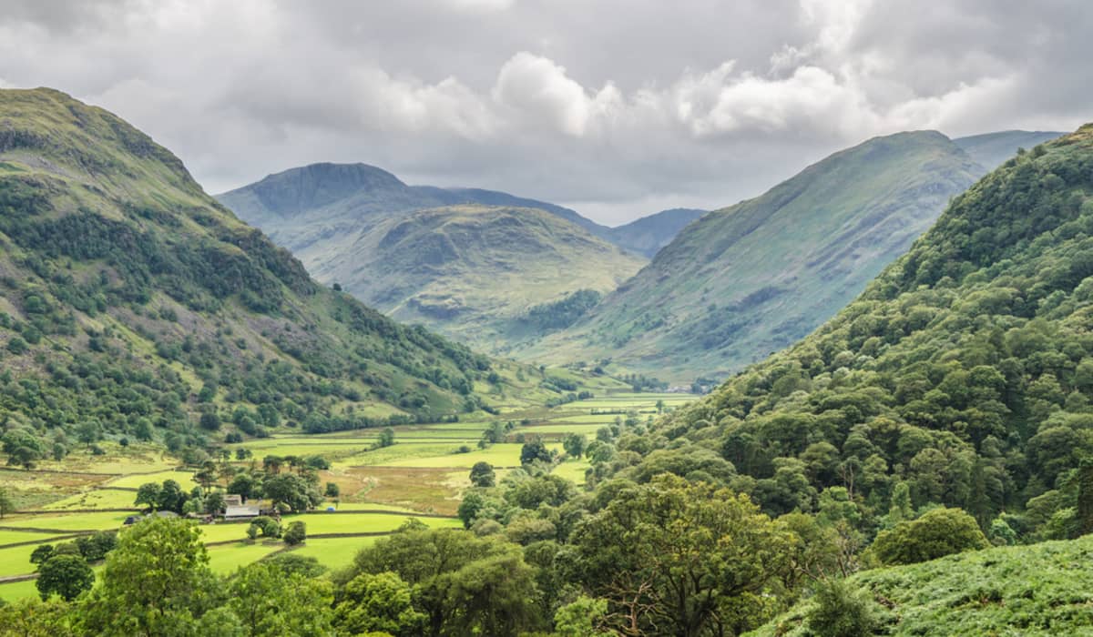 World Rainforest Day: England's Largest Rainforest Made a National Nature