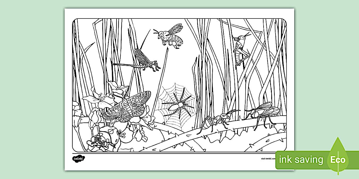 Insects Colouring Page, minibeasts