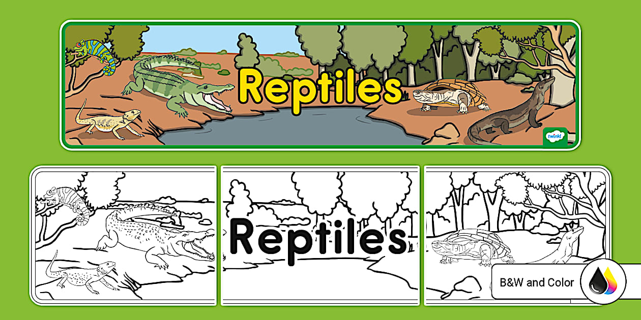 Reptiles Banner (teacher made) - Twinkl