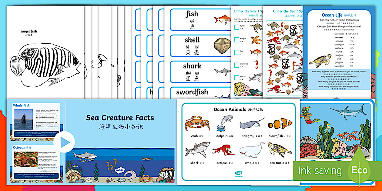 Ocean Life Resource Pack English/Mandarin Chinese - Twinkl