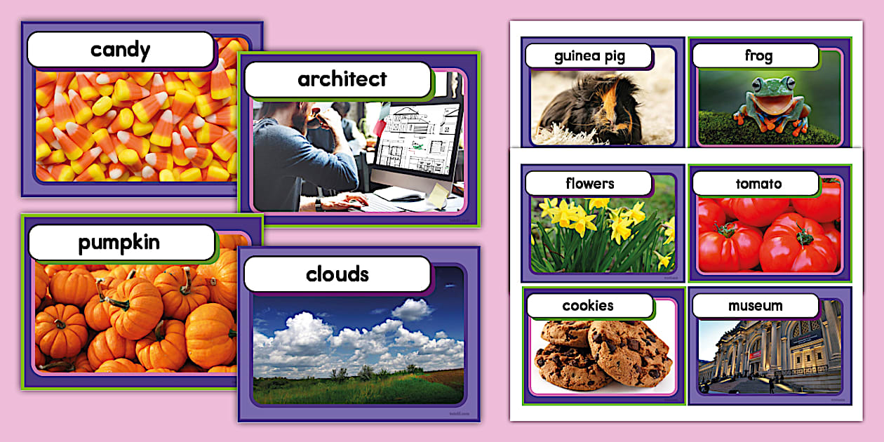 Noun Photo Flash Cards (teacher made) - Twinkl