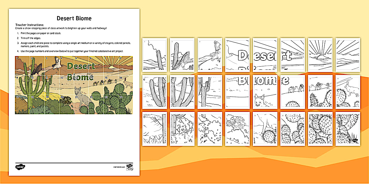 Desert Biome Collaborative Art Pack (teacher made) - Twinkl