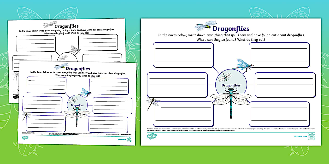 Grade 3 Life Skills Term 2 Dragonfly Mind Map (CAPS Aligned)