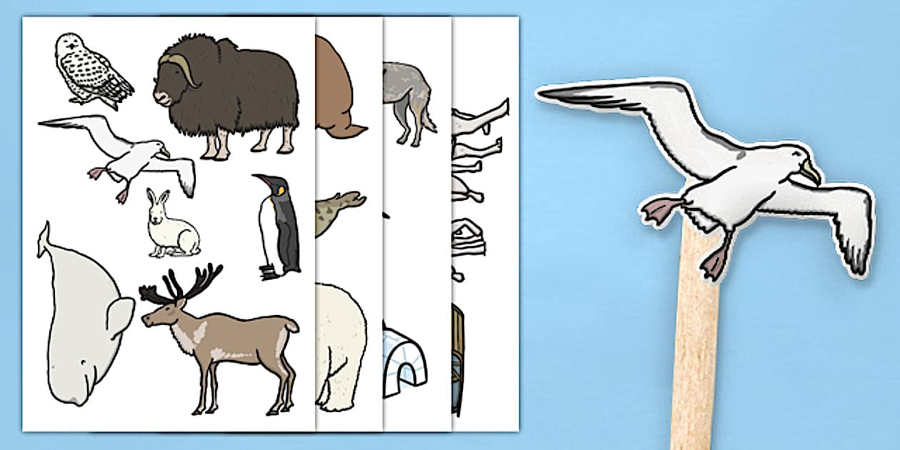 Black and White Polar Regions Stick Puppets (teacher made)
