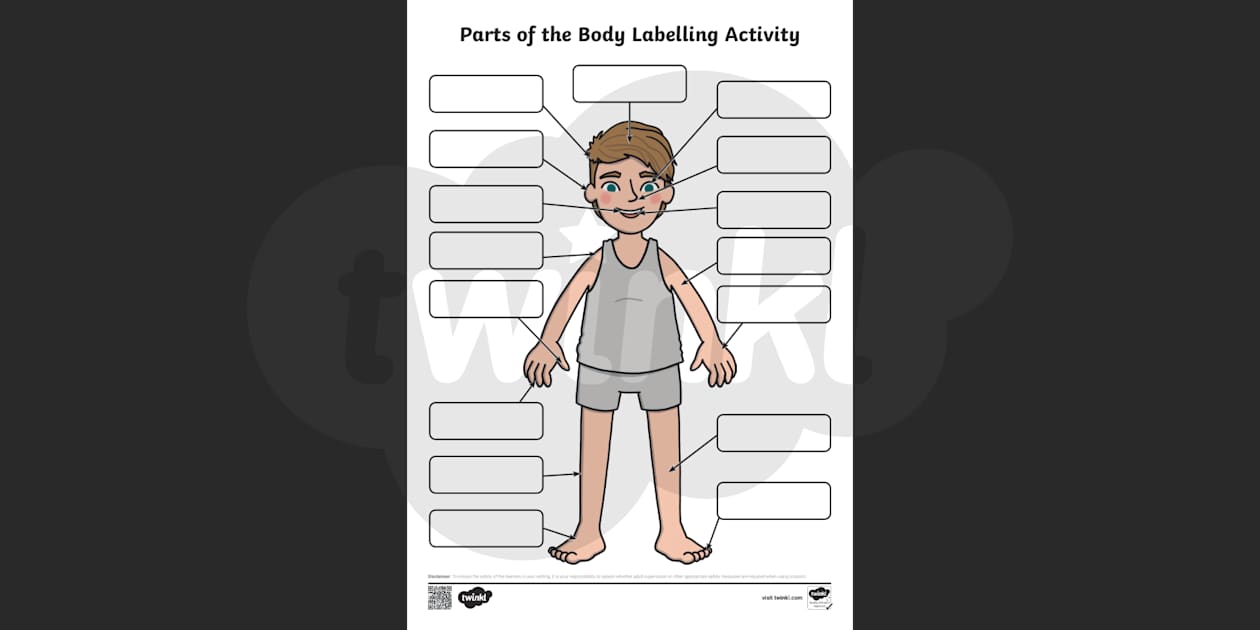 What Is Label The Parts