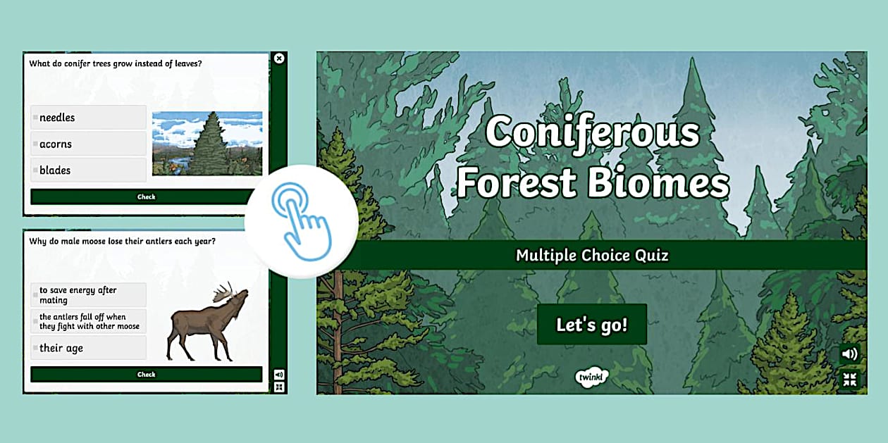 Coniferous Forest Biomes Multiple Choice Quiz (teacher made)