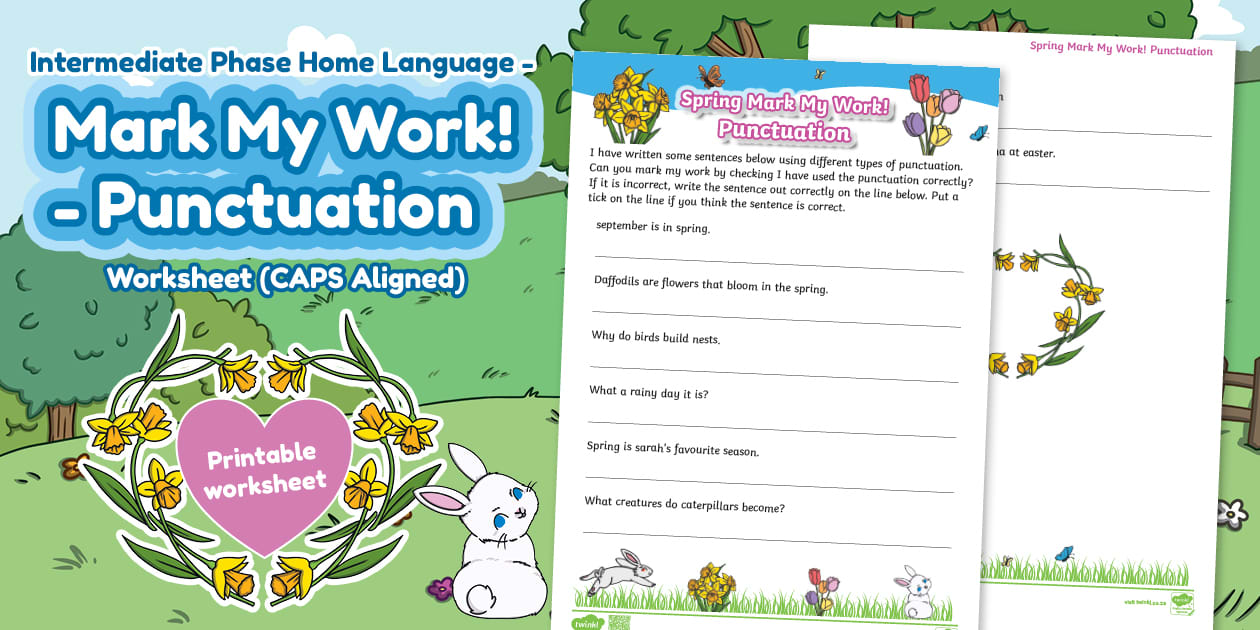 * NEW * Foundation Phase Home Language - Mark My Work! - Punctuation ...
