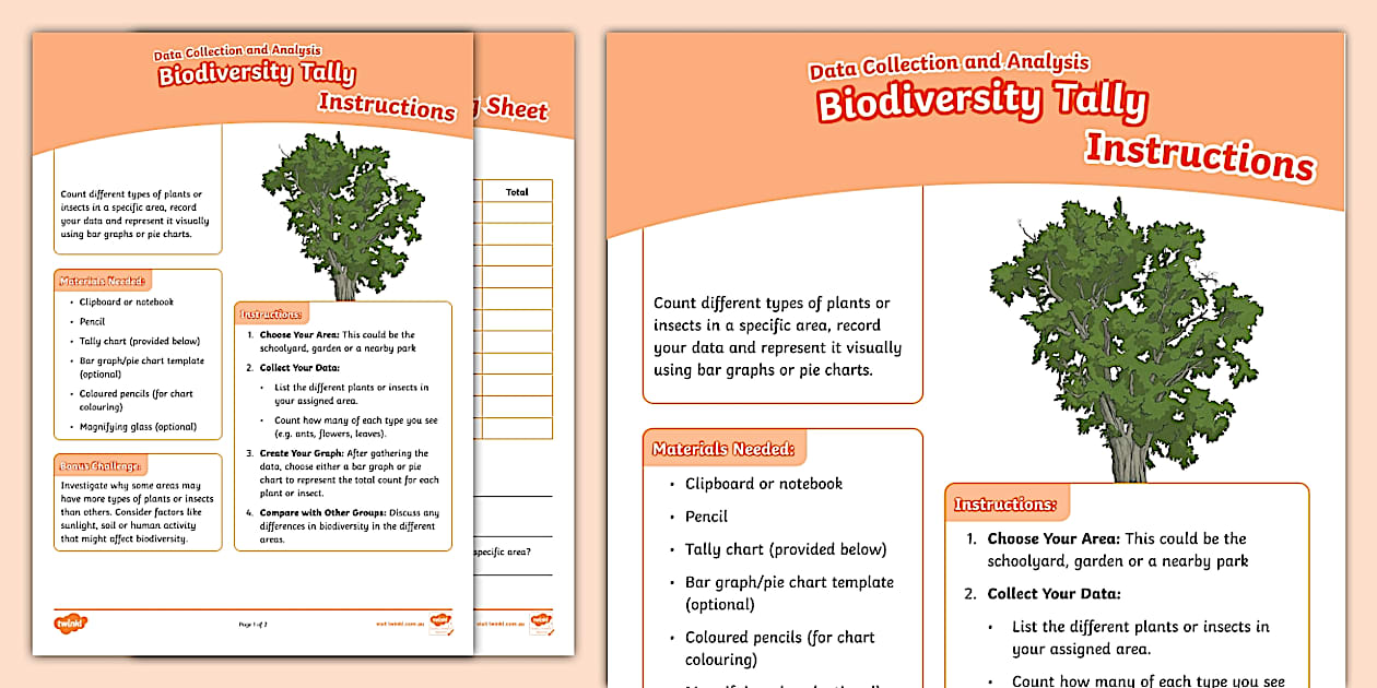 Outdoor Maths: Biodiversity Tally (teacher made) - Twinkl